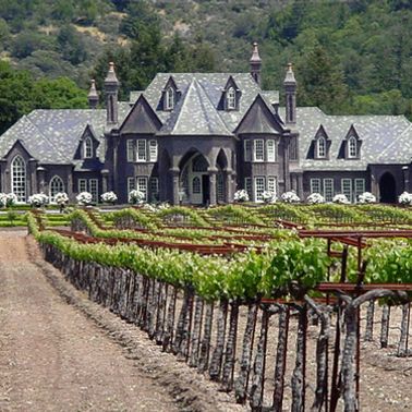 Steve Ledson on History of Ledson Winery in Sonoma, Wines, Fantastic ...