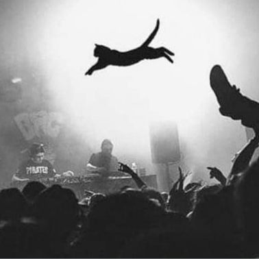 DJ Robert West - Drum & Bass Mix 11-19-22 Episode 7 by DJ Robert West (Bobby Hackett) | Mixcloud