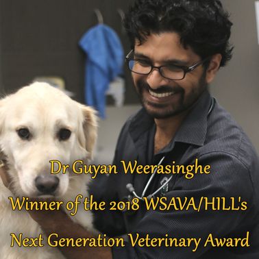 2018 Next Generation Veterinary Award - Dr Guyan Weerasinghe by VET ...