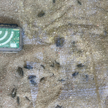 RadioActive - on Water #5 - River Breathing by Carlos Monleon ...