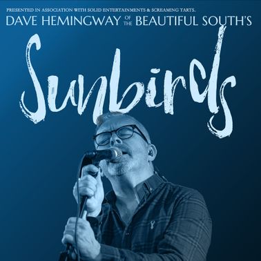 Friday 240323 - Dave Hemingway interview - Sunbirds, Beautiful South by ...