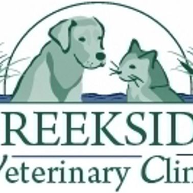 Carolina Perspective host Sheree Bernardi interviews Dr. Crowe and ...