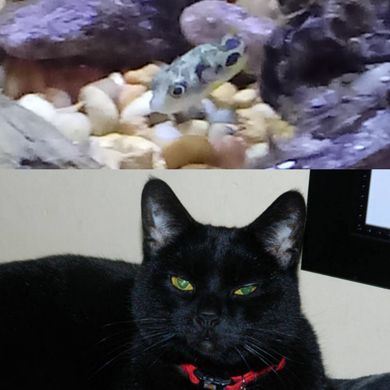 Heavy, Low, Loud & Slow July 31, 2019 by Heavy Low Loud & Slow | Mixcloud