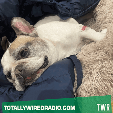 Drop Out - Richard Epps ~ 18.01.24 #live by Totally Wired Radio | Mixcloud