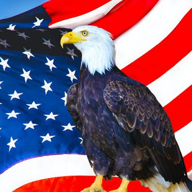 USA Pop Airplay Chart for 2023 by Sounds Stereo Radio | Mixcloud