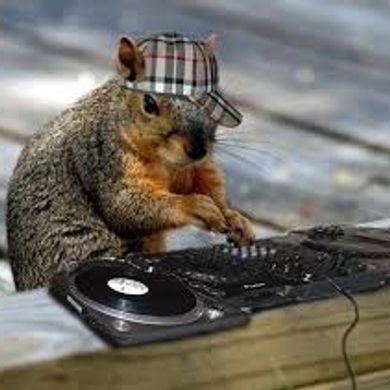 DJ Squirrel in the Mix - No2 by Nick Davies | Mixcloud