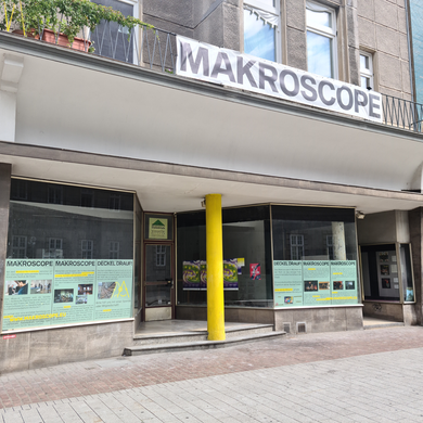 Makro – Die Große Show w/ Ella Posny, Felix Möser, Jan Ehlen & Max ...