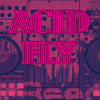 Acid Fly by drBeers | Mixcloud