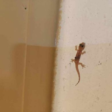 Macaklin (shift) by Demos | Mixcloud