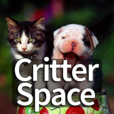 Critter Space Episode 12 - Sick house, Surgery, Endangered animals die ...