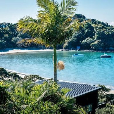 DJ SWINO Psychedelic Sundowner House Mix 2024 by DJSWINO | Mixcloud