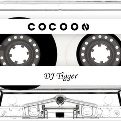 DJ Tigger - R&B Mix - For The Ladies by DJ Tigger | Mixcloud