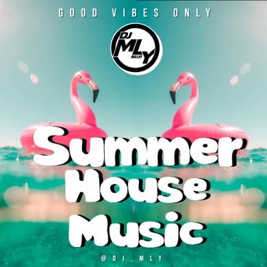 Summer House Music - Part 1 by DJ MLY (DJ MALLOY) | Mixcloud