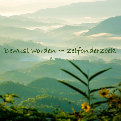 Zelfonderzoek - 10 stappen (naar binnen) om wakker te worden! by Nicky ...