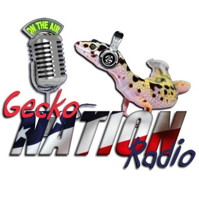 Sean Holliday Inventor of the G.E.O talks incubation tactics by Gecko ...