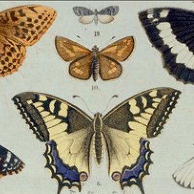 Masterpiece: Michael Sims by Books and Arts - Separate stor | Mixcloud