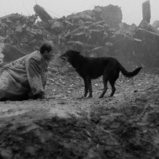 Carla Dal Forno - 13th January 2026 by Mixcloud NTS Radio | Mixes.VuiZ ...