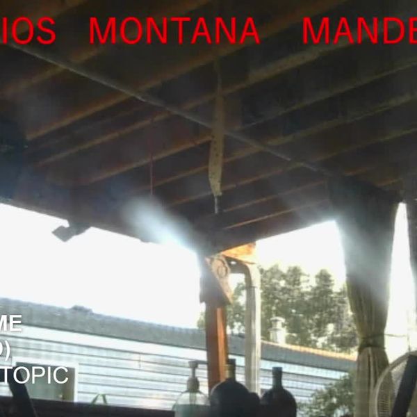 LIVETRIBE on Mixcloud Live | Mixcloud