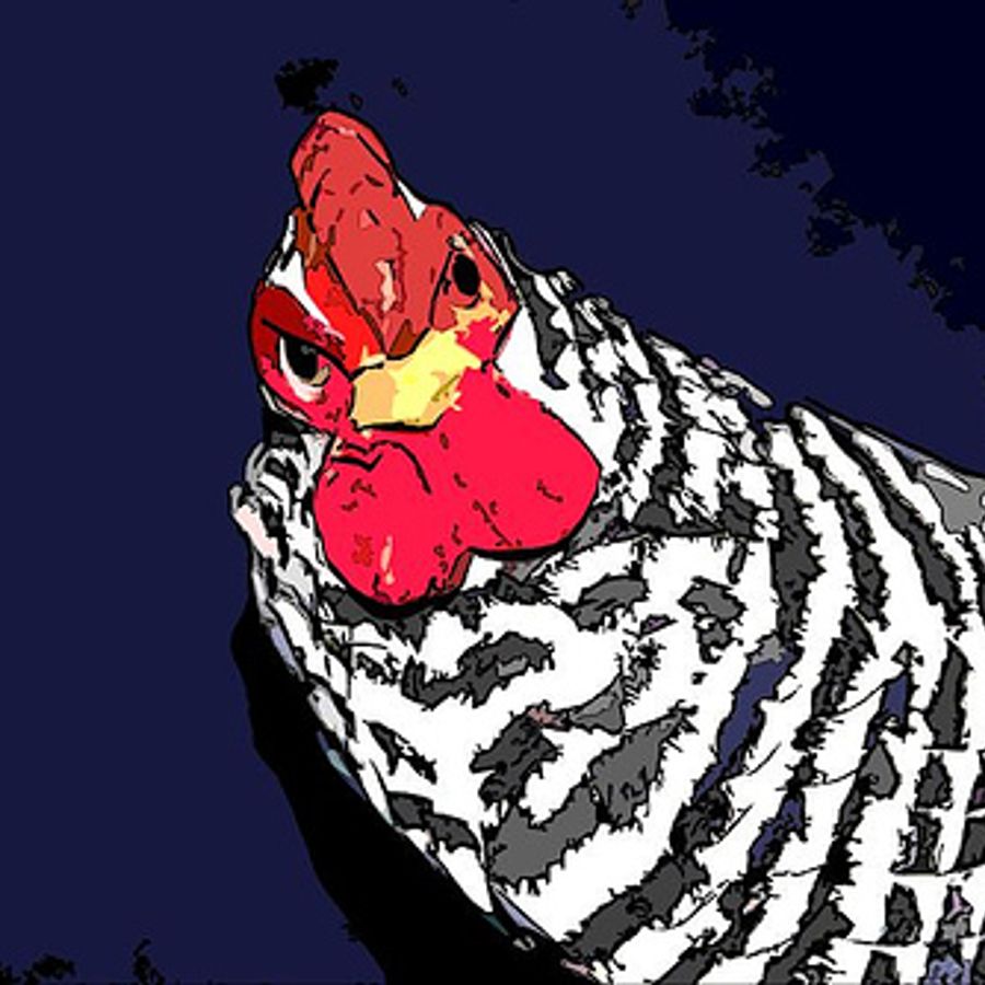 Deep fried Psychedelic Chicken by Pappe (Glitchy.Tonic.Records) | Mixcloud