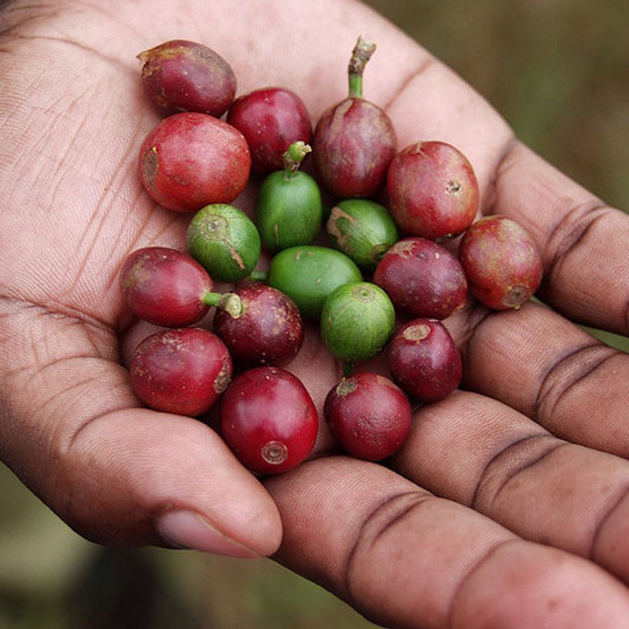 Bugalu Sound - African Seeds by LDBK | Mixcloud