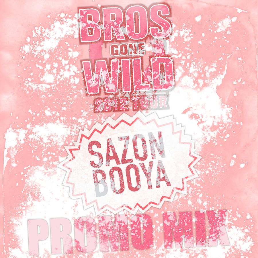 Sazon Booya - Bros Gone Wild Tour Promo Mix by Moombahton Mixes 2012 ...