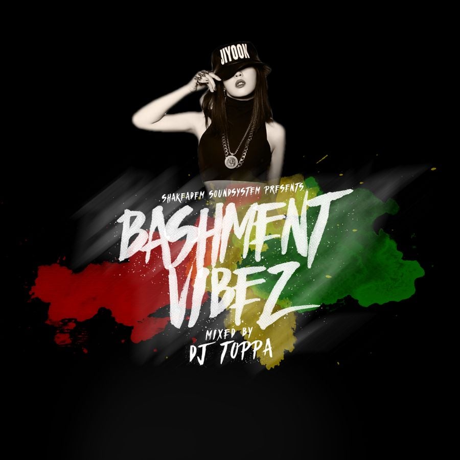 BASHMENT VIBEZ - DANCEHALL MIX 2016 by Shake A Dem Sound | Mixcloud